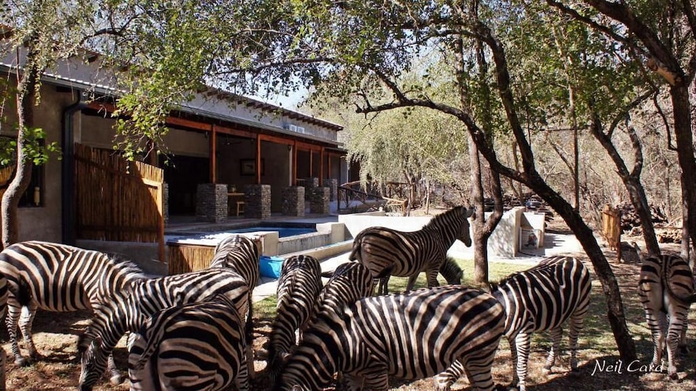 Dream Of Africa Bush Lodge - Marloth Park