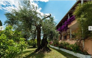 Terrenos do alojamento