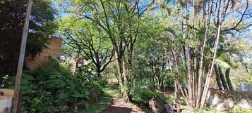 Um jardim com muro de tijolos, diversas árvores e um caminho.