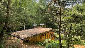 Uma cabana de madeira rústica cercada por uma floresta densa.