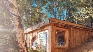 Uma cabana de madeira rústica com uma trilha de terra que a leva até ela, cercada por uma floresta densa.