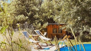 Uma cabana de madeira com piscina, rodeada por grama alta e árvores.