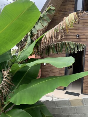 Chalé Tradicional, 1 quarto, vista para o pátio | Terraço/pátio interior