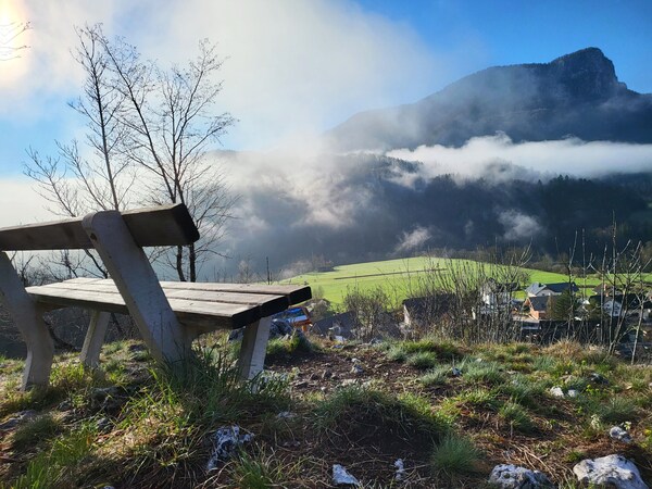 Bella Bela Apartments - Bled