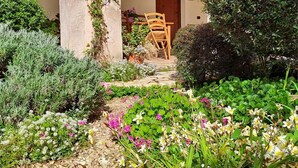 Um jardim com uma cadeira de madeira e uma porta, cercado por diversas plantas e flores.