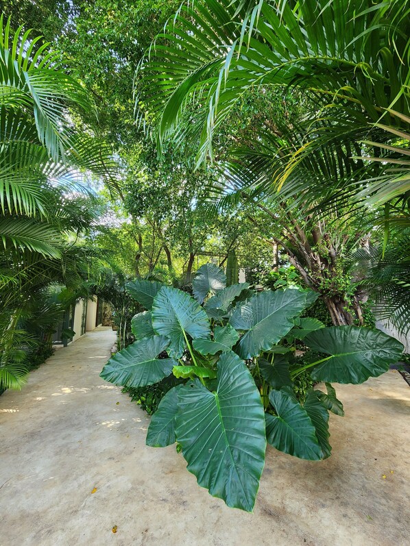 Terrenos do alojamento