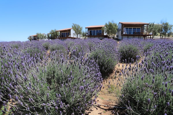 Montevalle Resort And Spa - Baja California