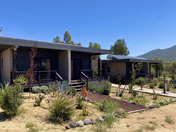 Coquenas Del Valle（音译：考克纳斯德尔瓦列） - 下加利福尼亞