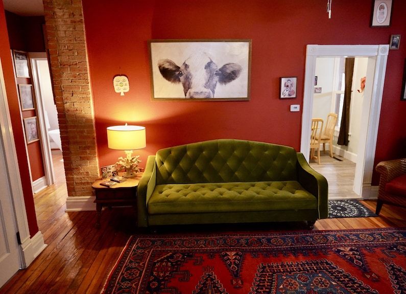 Luxury Funky Fun 420, Walk Downtown Wacpets Free! - Colorado