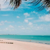 Estúdio conforto | Praia | Perto da praia, areia branca, 4 bares na praia