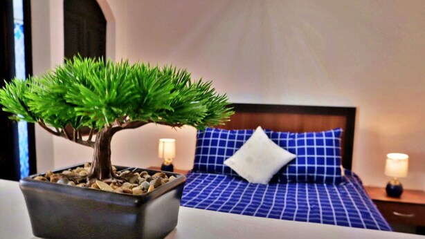 Cama bem arrumada com roupa de cama azul e travesseiro branco, uma pequena árvore bonsai em vaso sobre uma mesa de cabeceira, e duas luminárias de mesa.