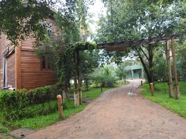 Uma casa de madeira rústica com uma trilha de terra que leva a um edifício verde em um ambiente verde e exuberante.