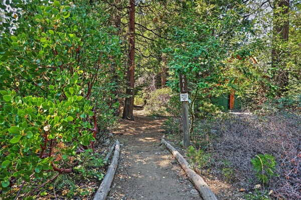 Hot Tub, Deck & Trail Access: Shaver Lake Cabin - Lakeshore, CA