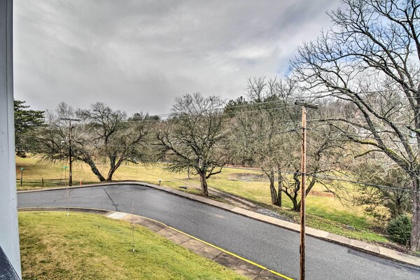 Laptop-friendly Lexington Condo W/ Free Wifi - Lexington, VA