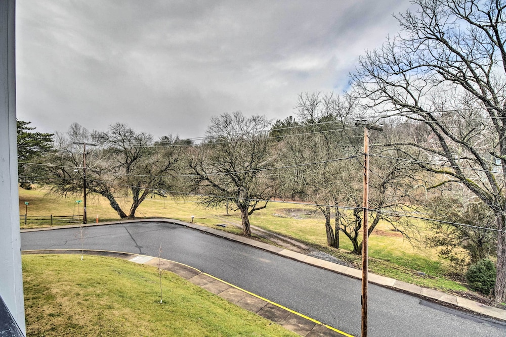 Laptop-friendly Lexington Condo W/ Free Wifi - Virginia Safari Park, Natural Bridge
