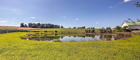 Casa de Campo (2 Bedrooms) | Interior