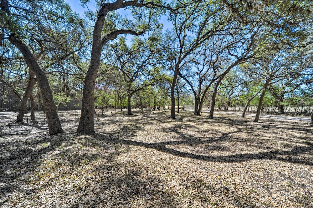 Unique Stay: Historic Home Along Blanco River - Blanco State Park, Blanco