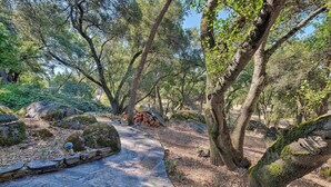 Uma trilha de pedra serpenteia por uma área arborizada, com pedras grandes e árvores.