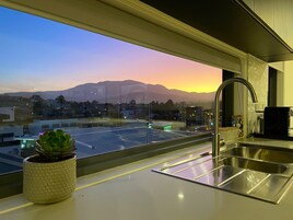 Apartamento Premium | Cozinha privada | Um frigorífico/congelador grande, um micro-ondas, um forno