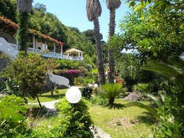 Um jardim exuberante com um gazebo branco, palmeiras e diversas plantas.