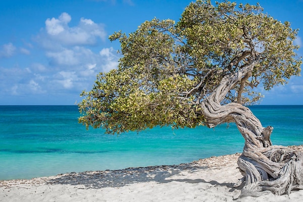 Na praia, areia branca, espreguiçadeiras, guarda-sóis