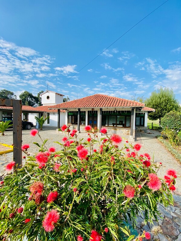 Cabana conforto | Roupas de cama de algodão egípcio, roupas de cama premium