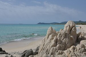 Apartamento | 3 quartos 