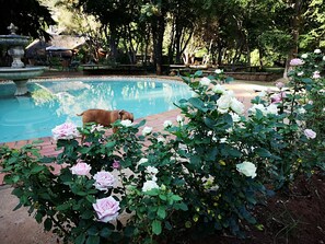 Piscina exterior 