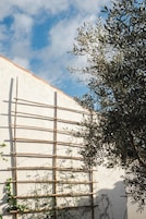 Um treliça de bambu encostada a uma parede com plantas trepadoras.