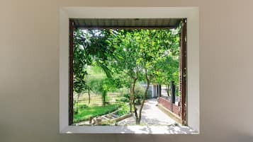 Pátio interior