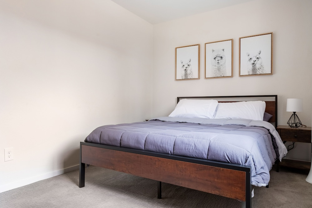 Modern 3 Bed/2 Bath In Park Hill - South Park Hill - Denver