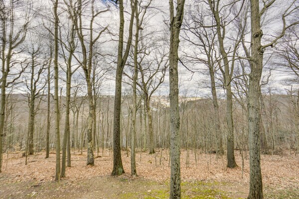 雅致度假小镇联排别墅至七泉山约2英里 - 賓夕凡尼亞