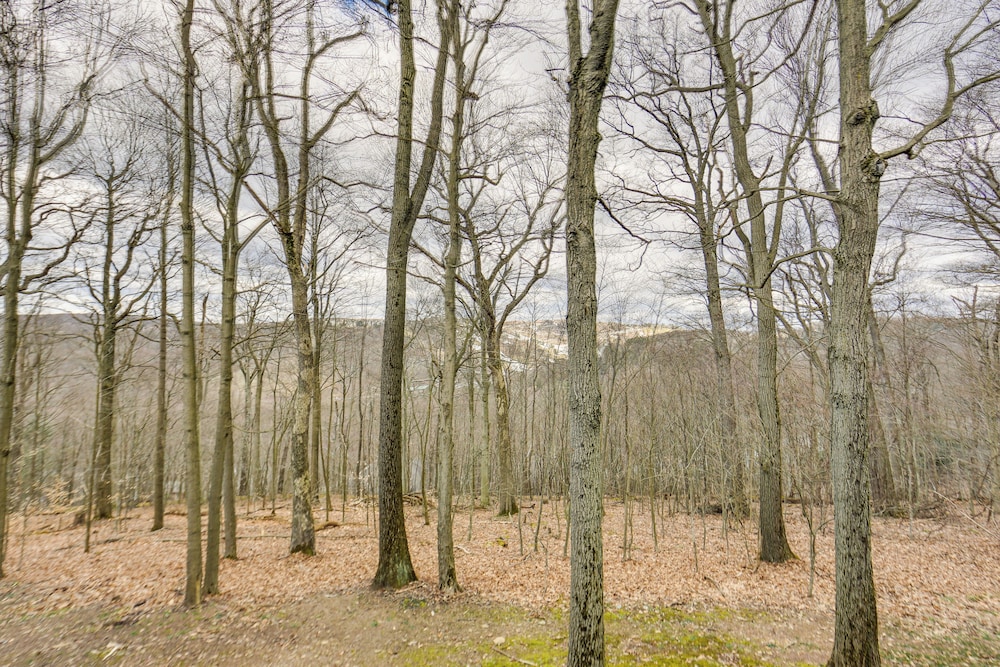 Pristine Resort Townhome 2 Mi To Seven Springs Mtn - Seven Springs, PA