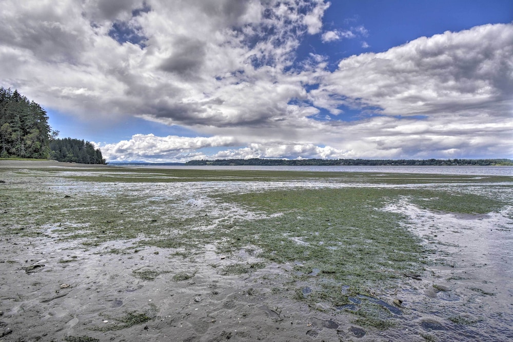 Island 'Beachcomber' Escape With Private Beach! - Anderson Island, WA
