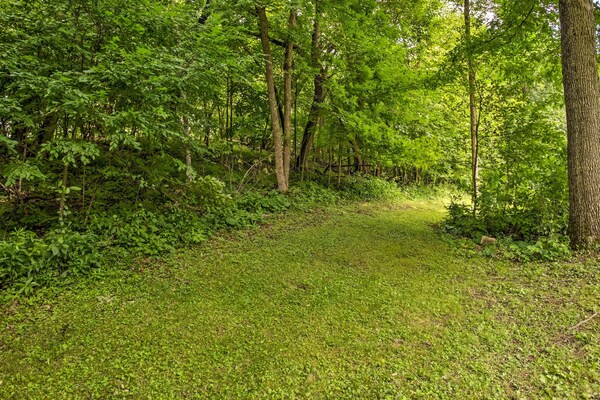 Cabin W/ Dock & Porch Across From Balsam Lake - Straight Lake State Park, Luck