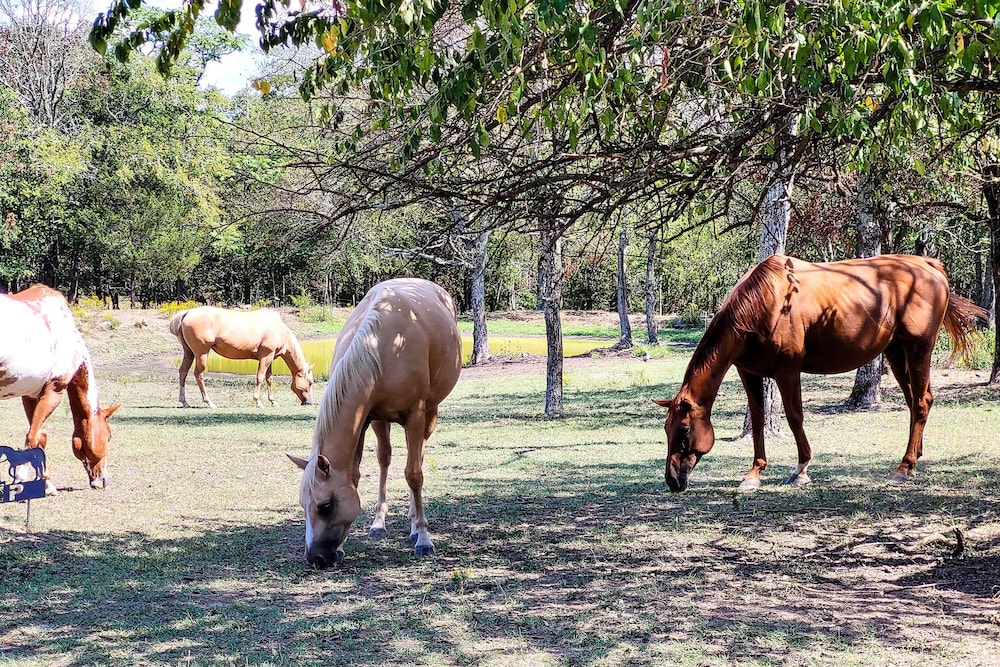 Hand-built 'Black Fork Cabin 2' W/ Fire Pit! - Clayton Lake State Park, Clayton
