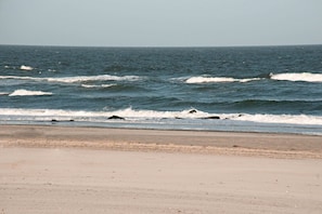 Uma praia com ondas e céu claro.