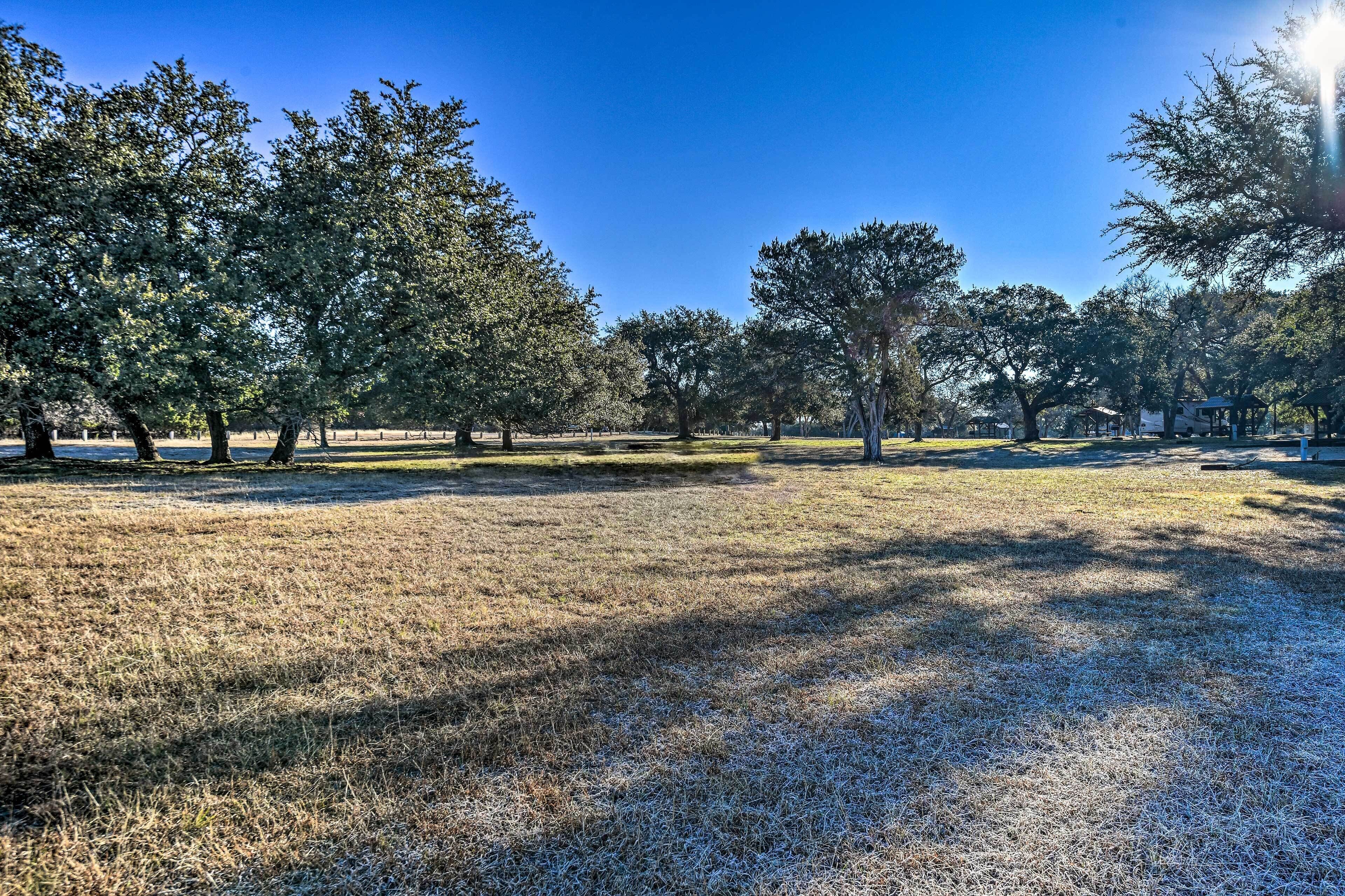 Um parque com árvores e céu claro.