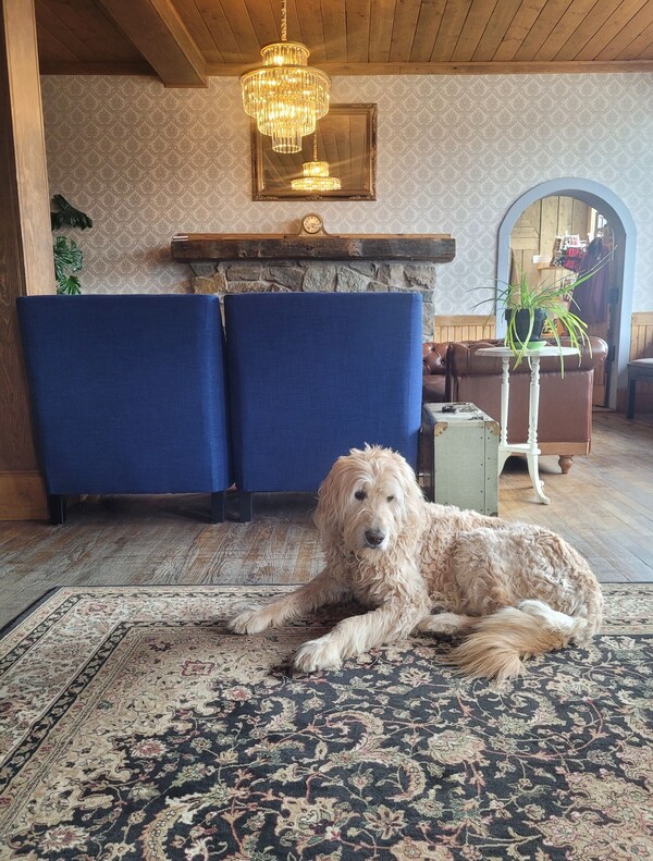 The Hand Hotel Bed & Breakfast - Colorado