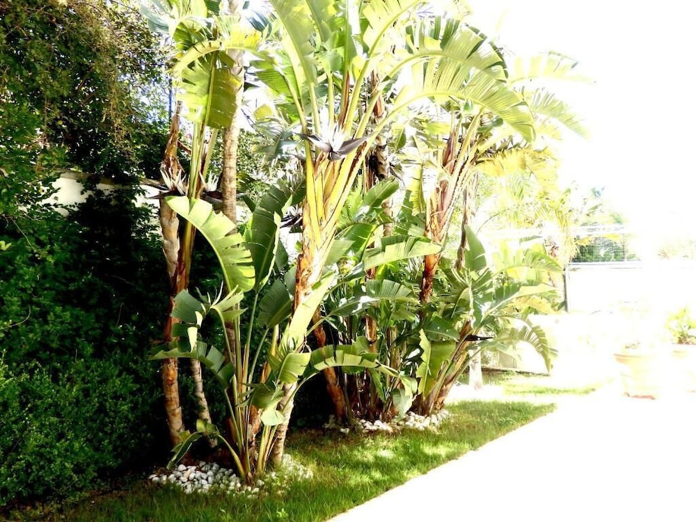 Sea Garden Gallipoli - Gallipoli