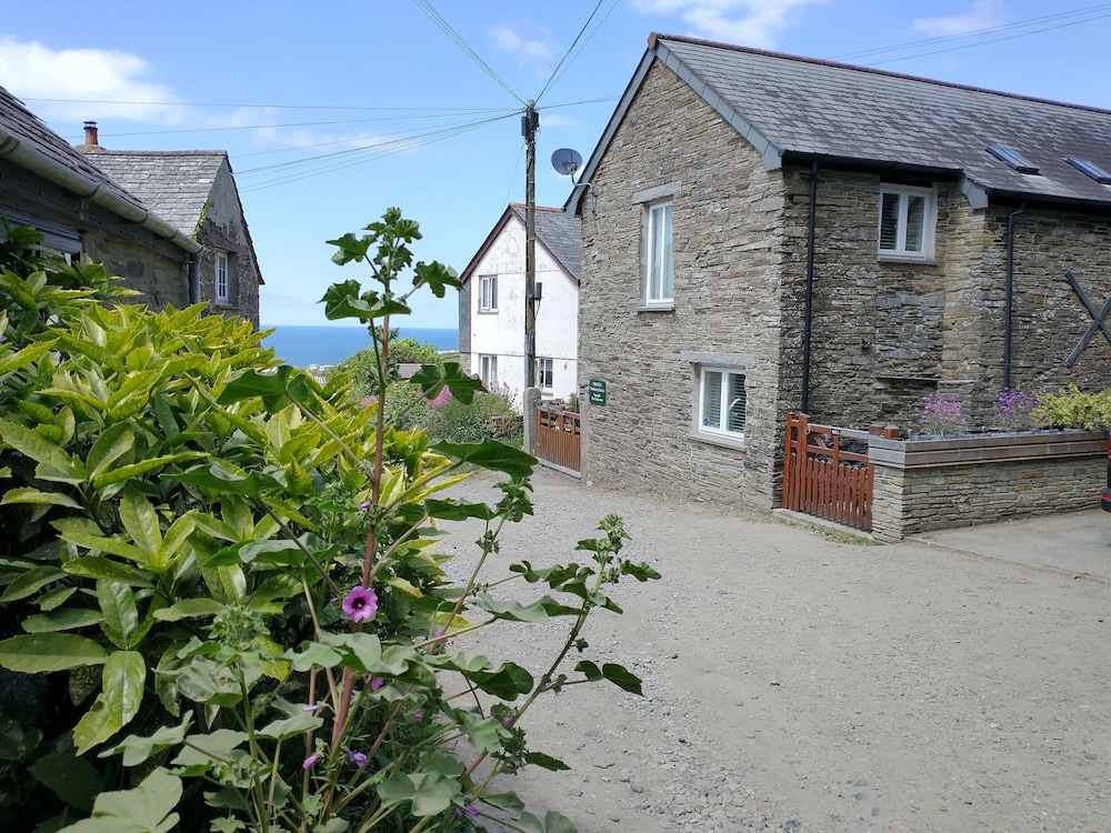 The Mill - Boscastle