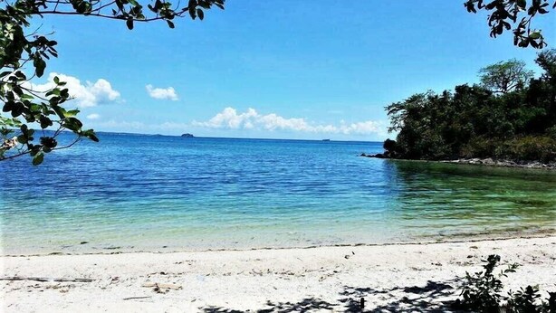 Uma praia com águas azuis cristalinas, areal arenoso e alguma vegetação.