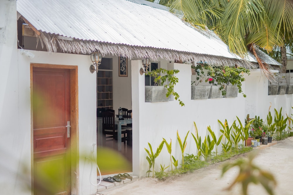 Fins Dive And Leisure Hotel - Maldives