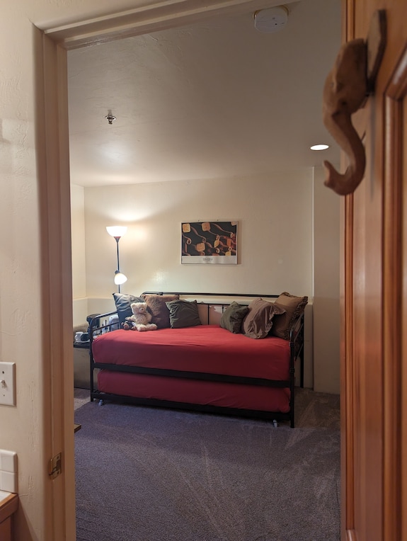 Peaceful Sunny 2bed/2bath Condo,ski Out/ski In Parking, Pets. - Mountain Village, CO