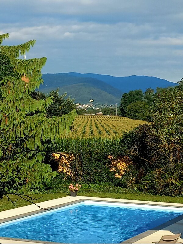 Renovated Bed And Breakfast With All Comforts + Swimming Pool Near Ribeauville, Riquewihr - Colmar
