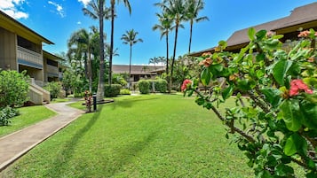 Apartamento (1 Bedroom) | Interior