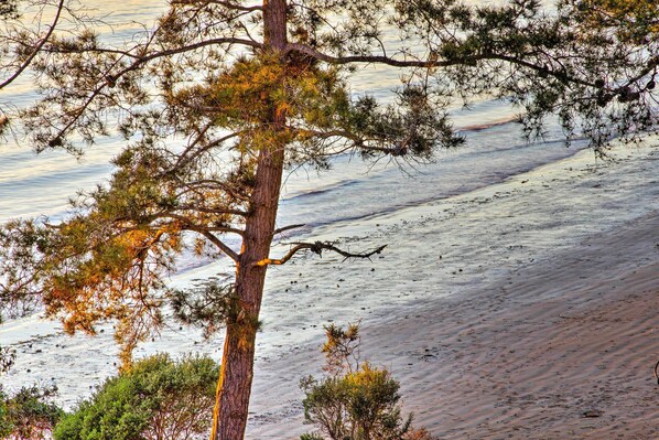 Apartamento (0 Bedroom) | Interior