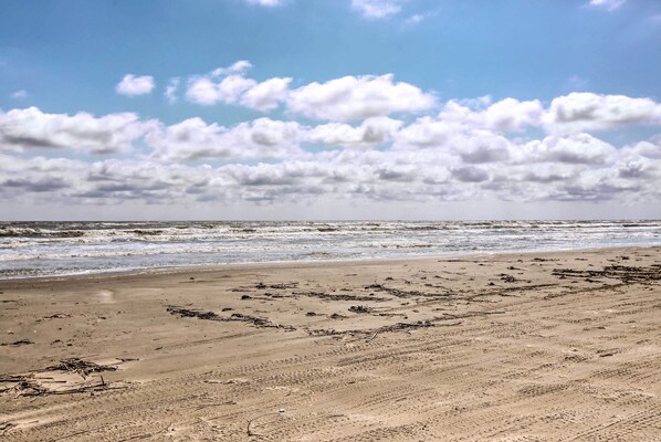 Uma praia com marcas de pneus visíveis e algas na areia.