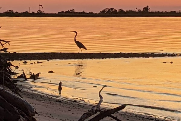 Stunning Views & Waterfront Fun: Aloe Bay Home - Dauphin Island, AL