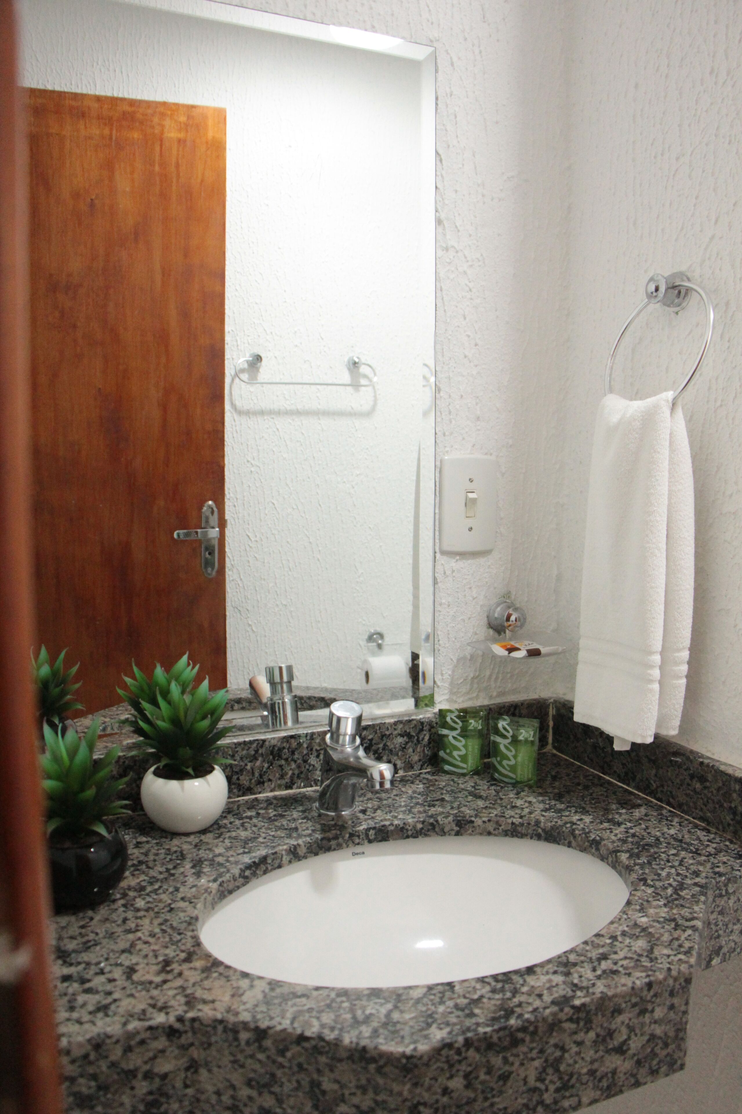 Casa de banho com lavatório de granito, porta de madeira, porta-toalhas e uma pequena planta em vaso.